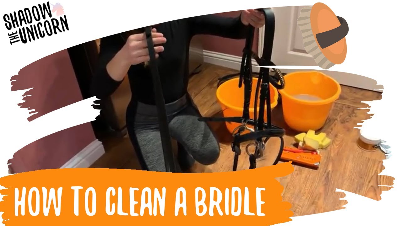 How to clean a bridle? | Shadow The Unicorn - YouTube