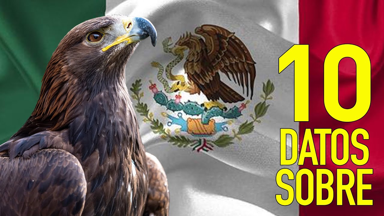 Bandera Del águila Mexicana Aguila Con Hojas Sticker Emblema Mexicano