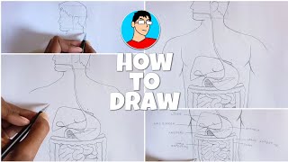 Human Digestive System Labelled Diagram| how to Draw hu... | Doovi