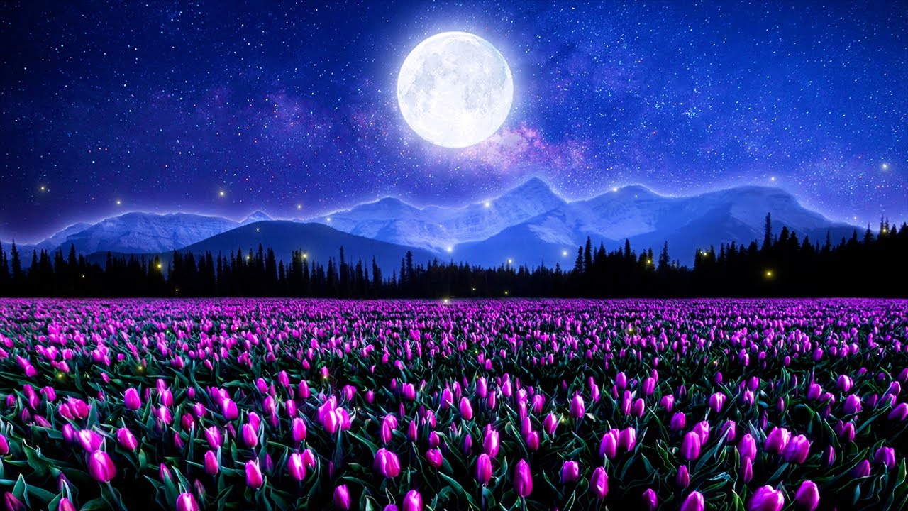 Relaxing Music and Night Nature Sounds with Crickets: Beautiful Piano ...