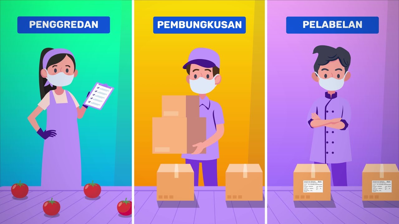 Apakah itu Pengreddan, Pembungkusan dan Pelabelan - YouTube