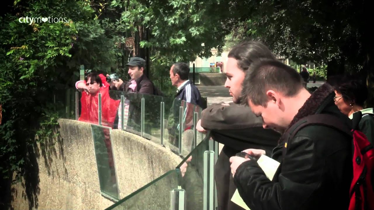 Citymotions Antwerp Zoo (KMDA) - YouTube