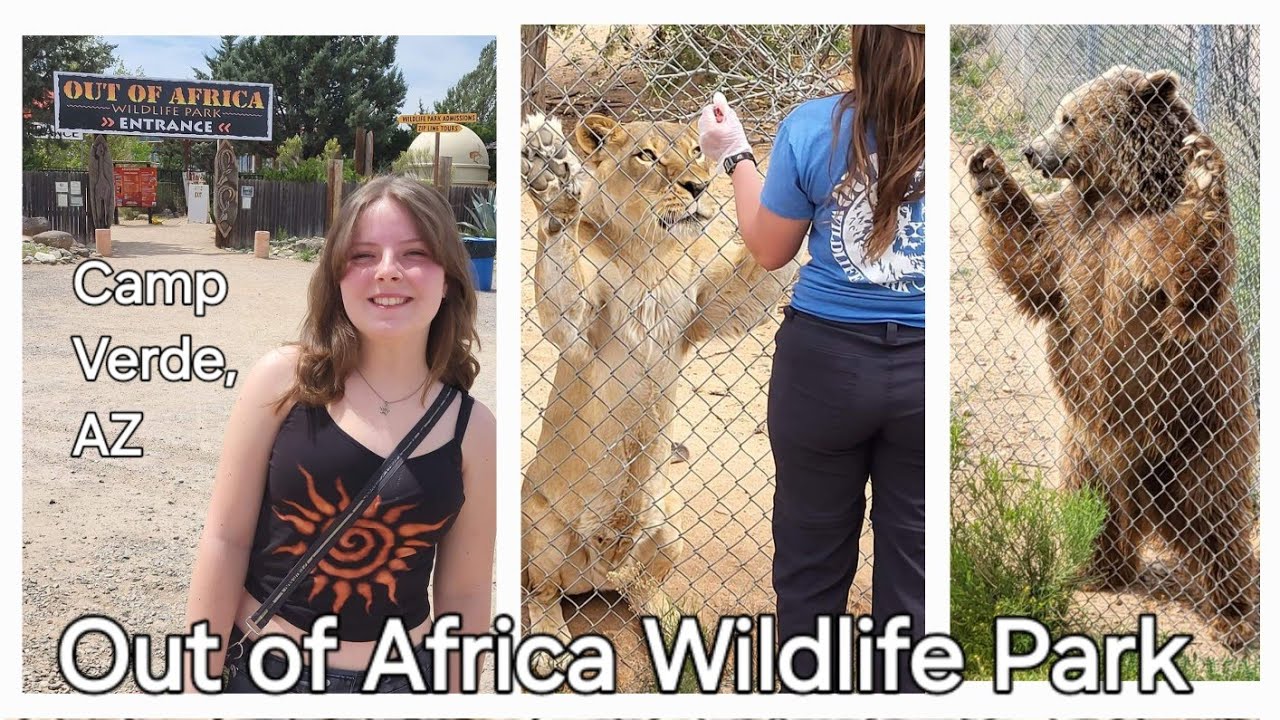 OUT OF AFRICA Wildlife Park, Camp Verde, Arizona - YouTube