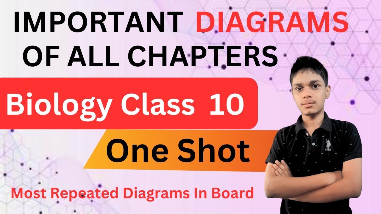 Top 10 Easy Biology Drawings for Class 10: CBSE Board Exam 2024 - YouTube