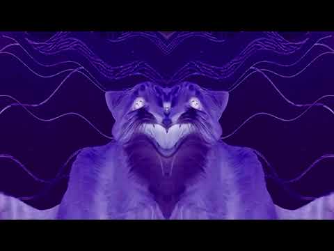 Shortest Video on Youtube Effects (Klasky Csupo 2001 Effects EXTENDED)