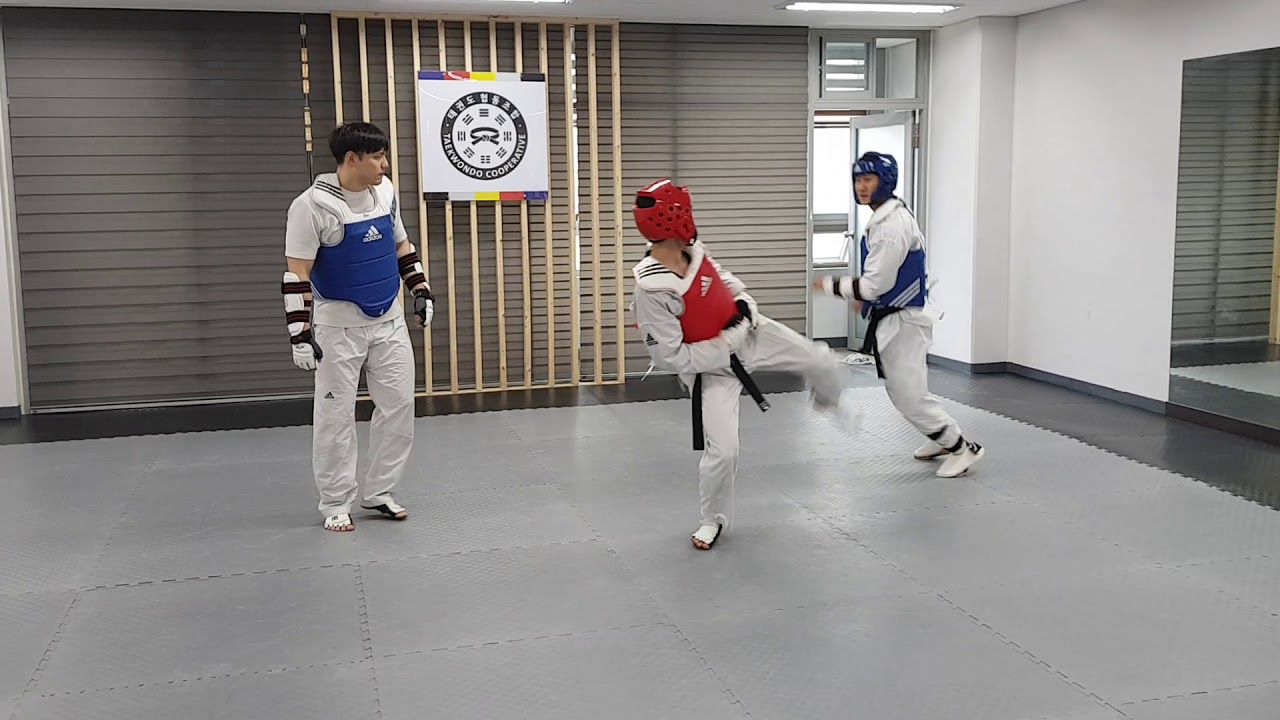 Taekwondo sparring @ TKD Co-op (Jung-il Ahn vs Hyojoon Yoon 2R): 태권도협동 ...