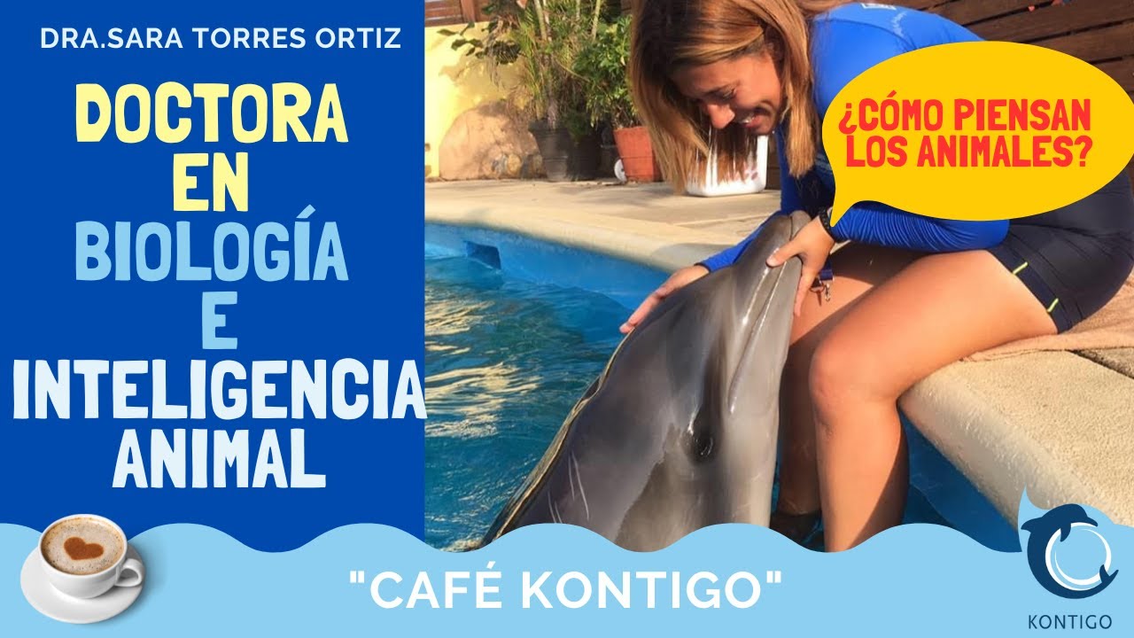 Descubriendo la inteligencia animal: ¿tienen los animales la capacidad ...