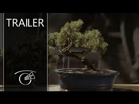 Bonsai - Trailer