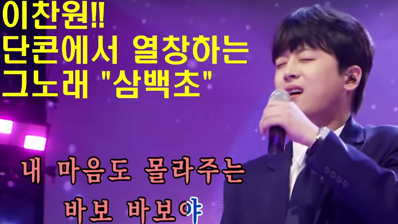 이찬원 삼백초 단콘에서 열창하는 그노래광주 콘서트 대박나세요찬또사랑합니다노래강사손영주노래교실노래강사자격증반 모집 Youtube