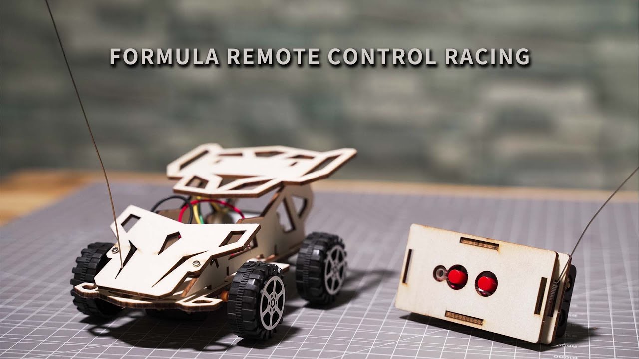 12 Have you ever played with a remote control race car made from wood ...