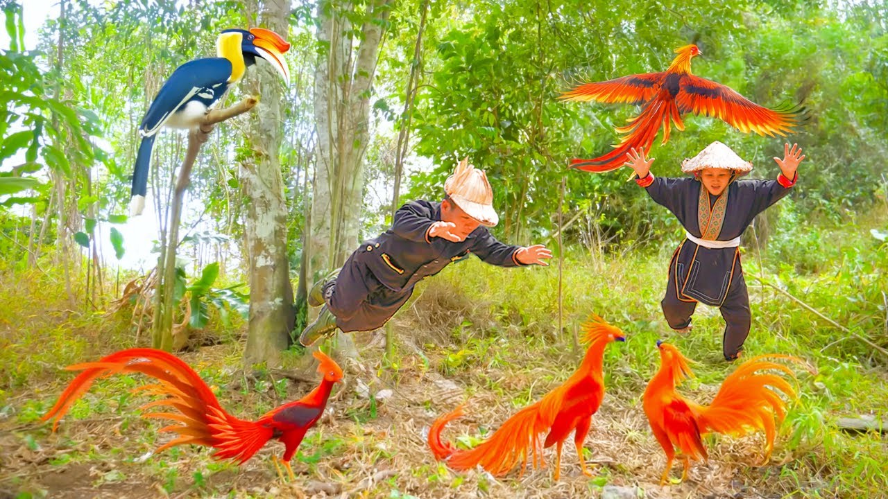 How to Hunt Wild Pheasants and Pick Fruits in the Forest - Amazing ...