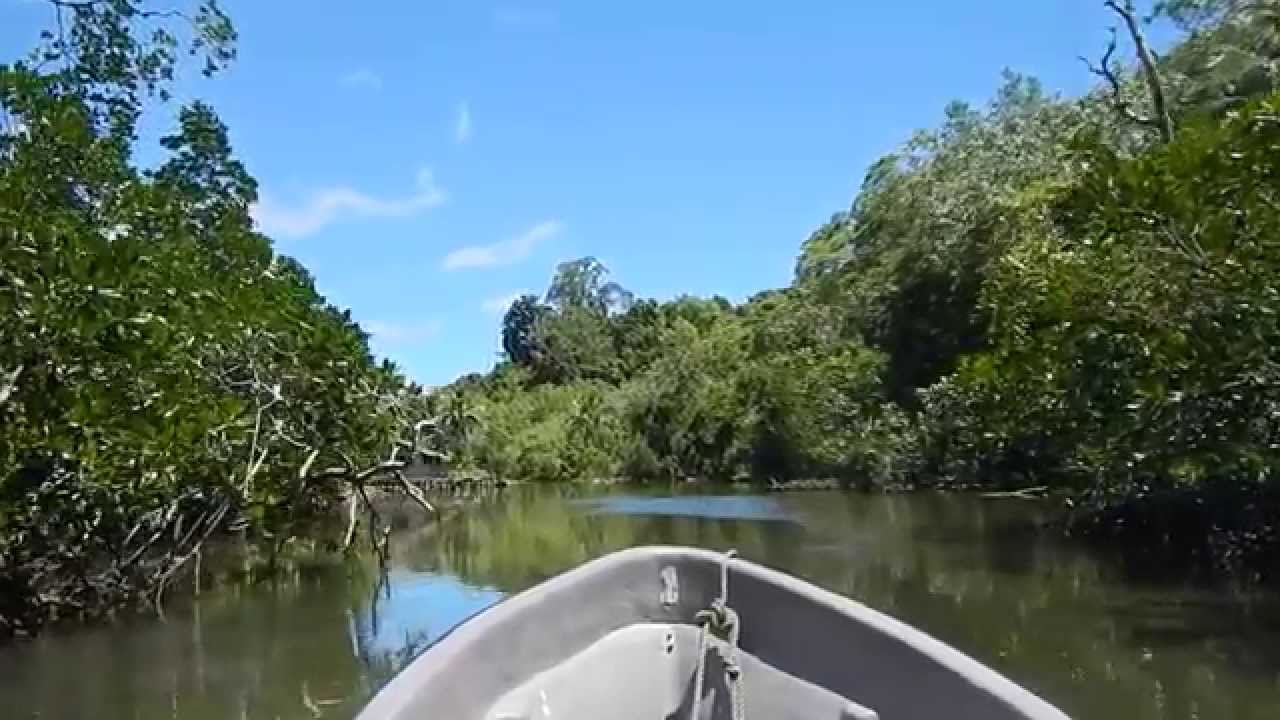Sustainable Fishing - Solomon Islands - YouTube