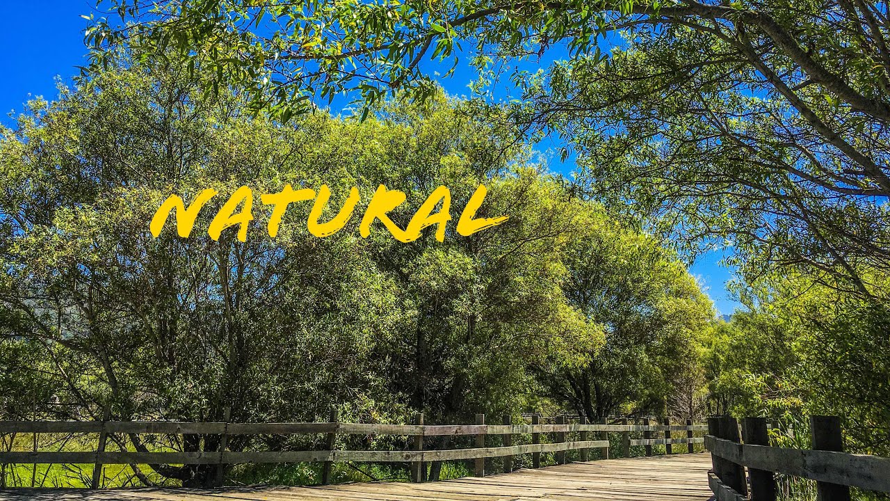 NATURAL - YouTube
