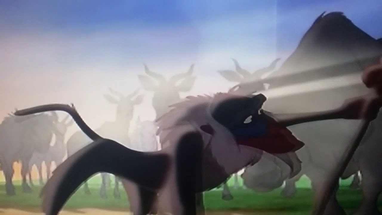 Circle of life lion king - YouTube