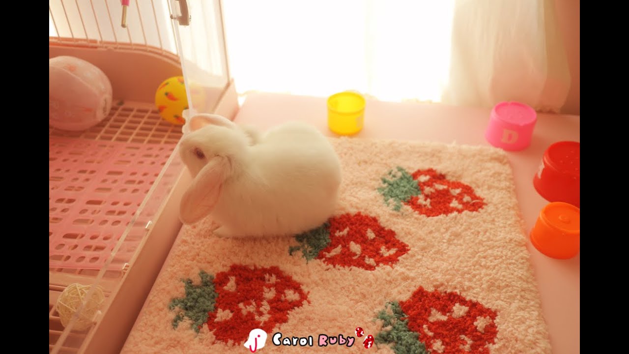 🍓캐롤루비 Carol Rubby Day 1💗 - YouTube
