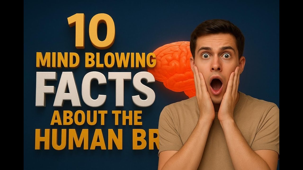 10 Mind Blowing Facts Of Human Brain | Knowledge | facts - YouTube