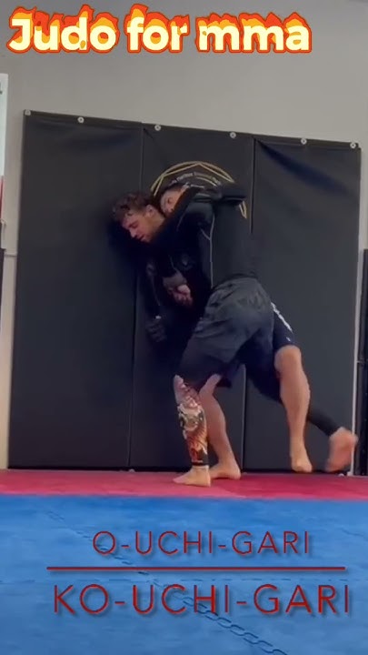 #Judo for #mma : O-Uchi-Gari and Ko-Uchi-Gari , work on the wall with #Team360mma #shorts - YouTube