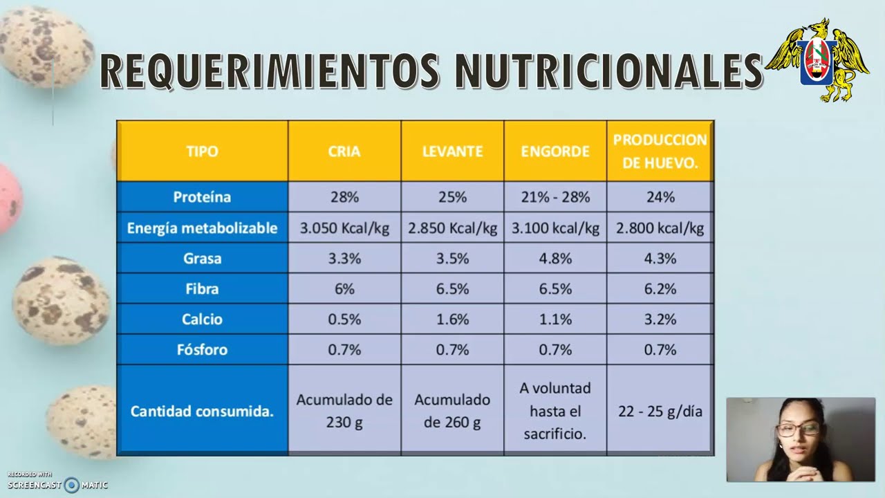 ALIMENTACIÓN EN CODORNIZ - YouTube