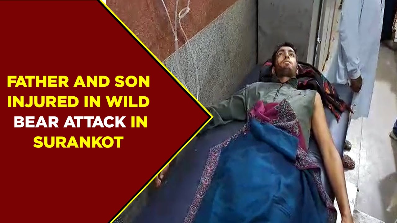Father and son injured in wild bear attack in Surankot - YouTube