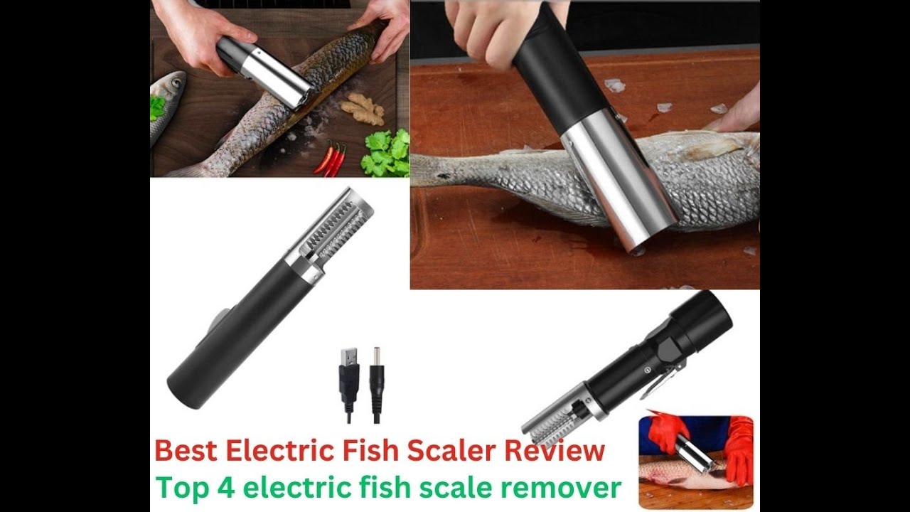 Best Electric Fish Scaler Review | Top 4 electric fish scale remover ...