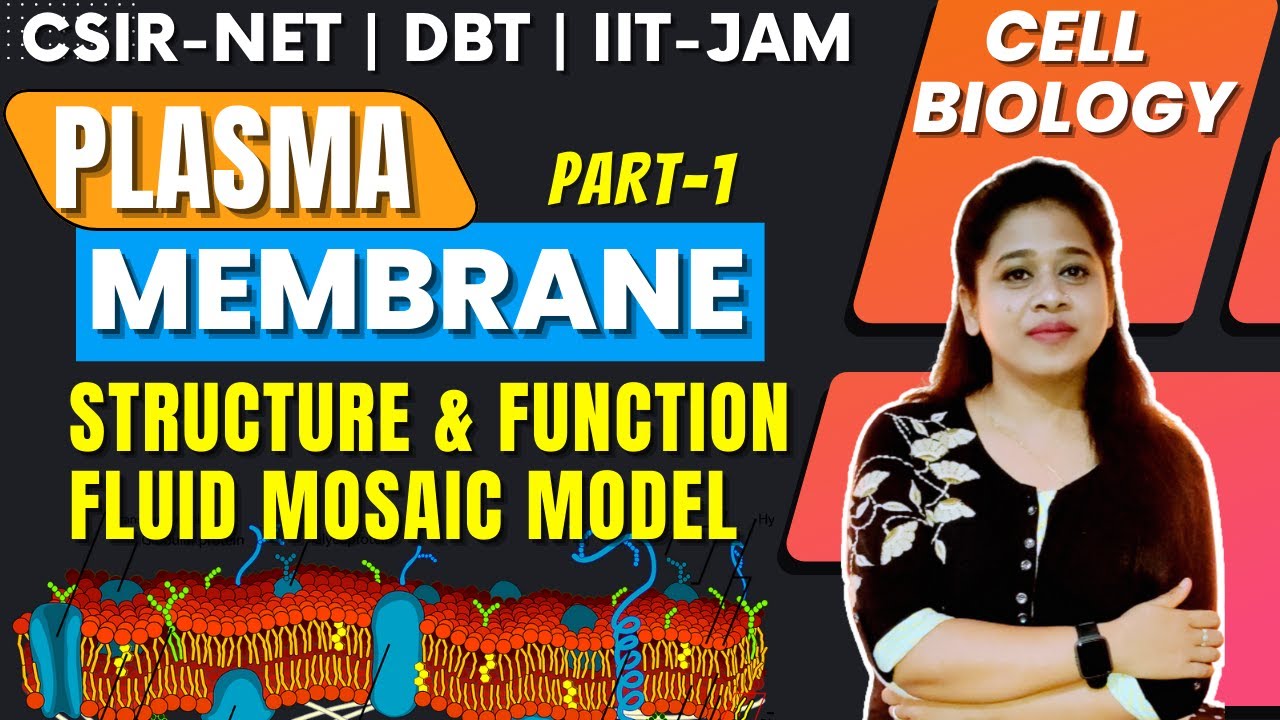Plasma Membrane I Basics Of Plasma Membrane Fluid Mosaic Model plasma-membrane-i-basics-of-plasma-membrane-fluid-mosaic-model