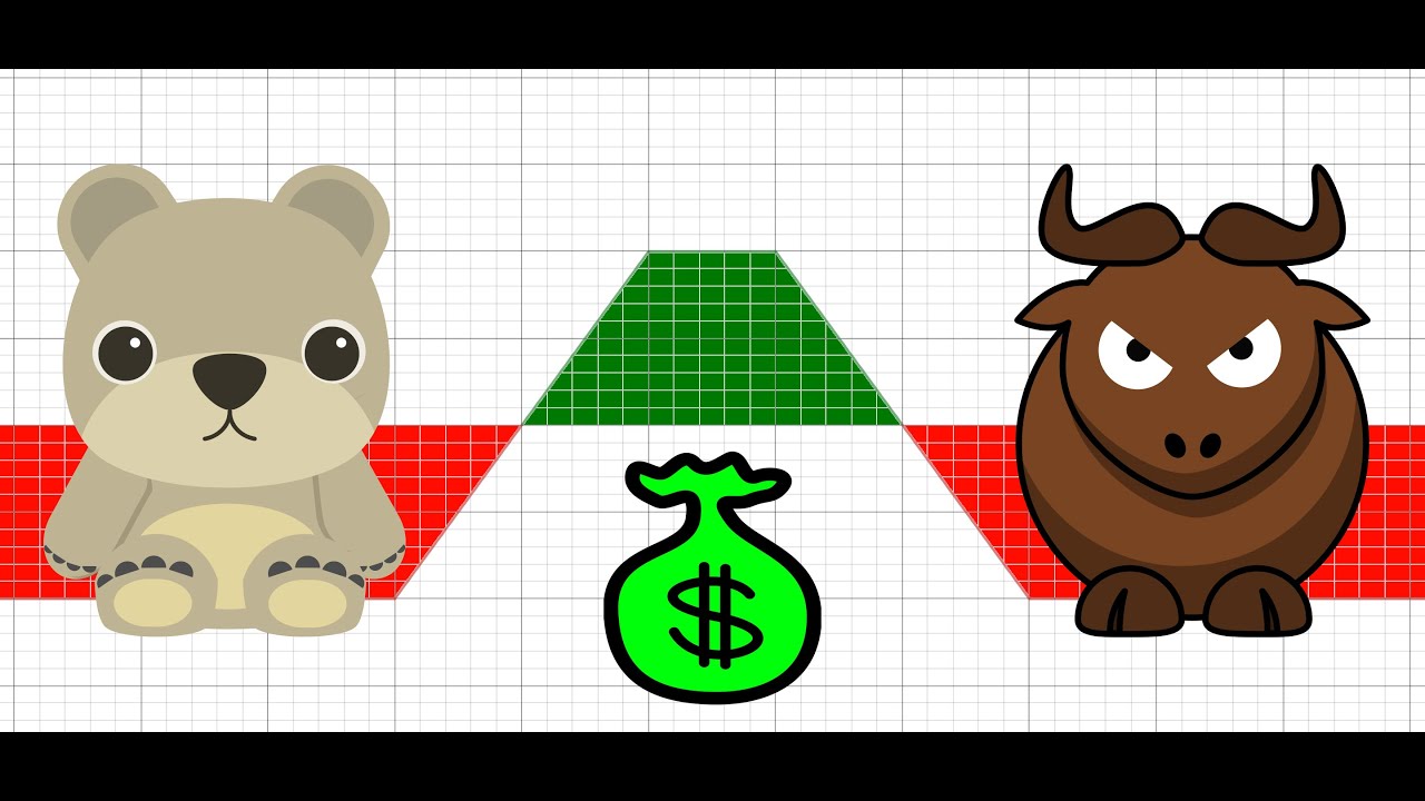 Beginner's Guide to Option Trading (Real World Examples) - YouTube