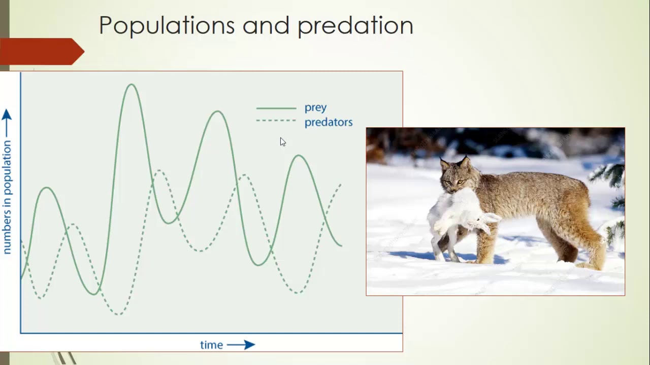 Populations and ecology for A-Level Biology - YouTube