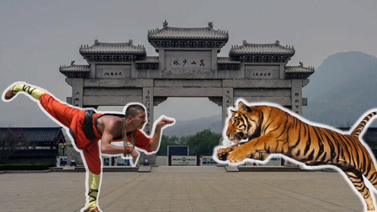 How Is The Routine of a Shaolin Monk - YouTube