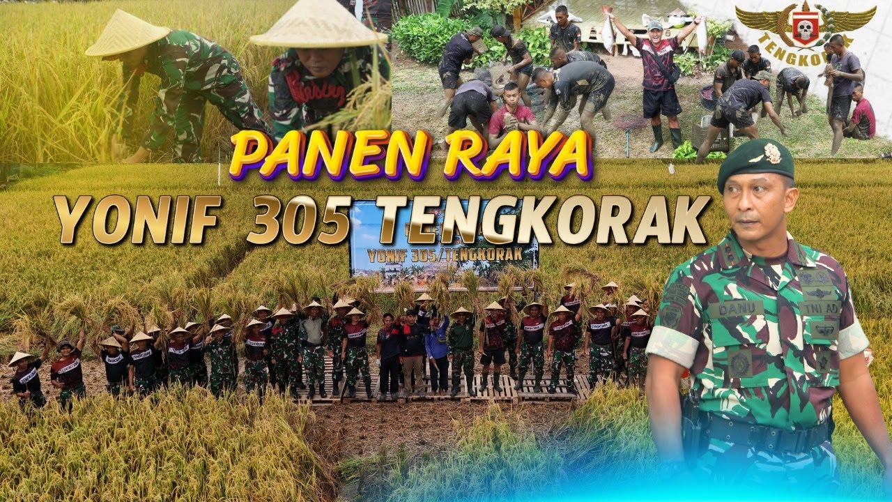Panen Raya, Yonif 305 Tengkorak Untuk Mendukung Program Pemerintahan dalam Ketahanan Pangan ...