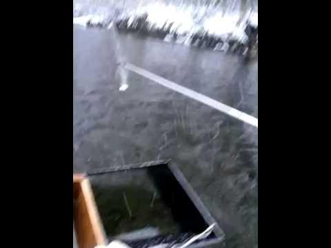 Рыбалка Ловля хариуса на ТЕЛЕВИЗОР! - YouTube