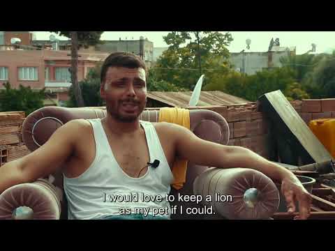 Benim Varoş Hikayem (My Suburban Stories) | 2017