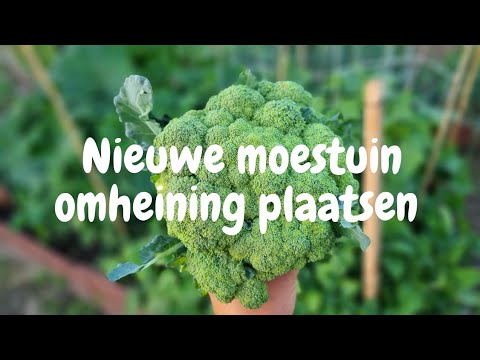 Terug naar huis & Nieuwe moestuin omheining plaatsen | Vlog #66 - YouTube