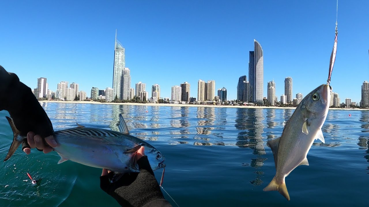 TWO ON ONE LURE / Bait collecting / Gold Coast / Bonito, Mack Tuna ...