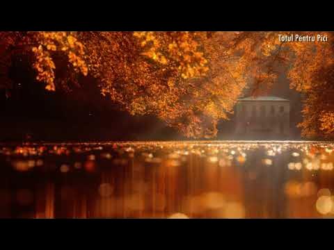 A venit pe dealuri, toamna! Fructe parfumate si legume coapte! - YouTube