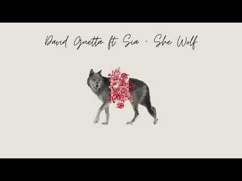 David Guetta ft. Sia - She Wolf (Empty Arena) - YouTube