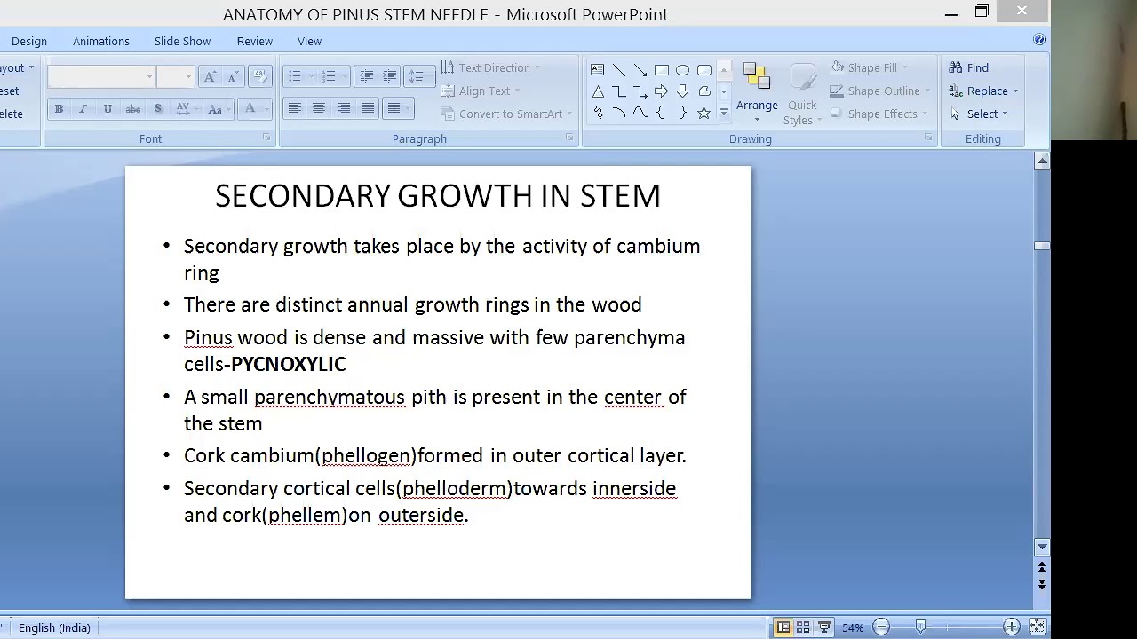 Anatomy of pinus stem(Internal structure) - YouTube