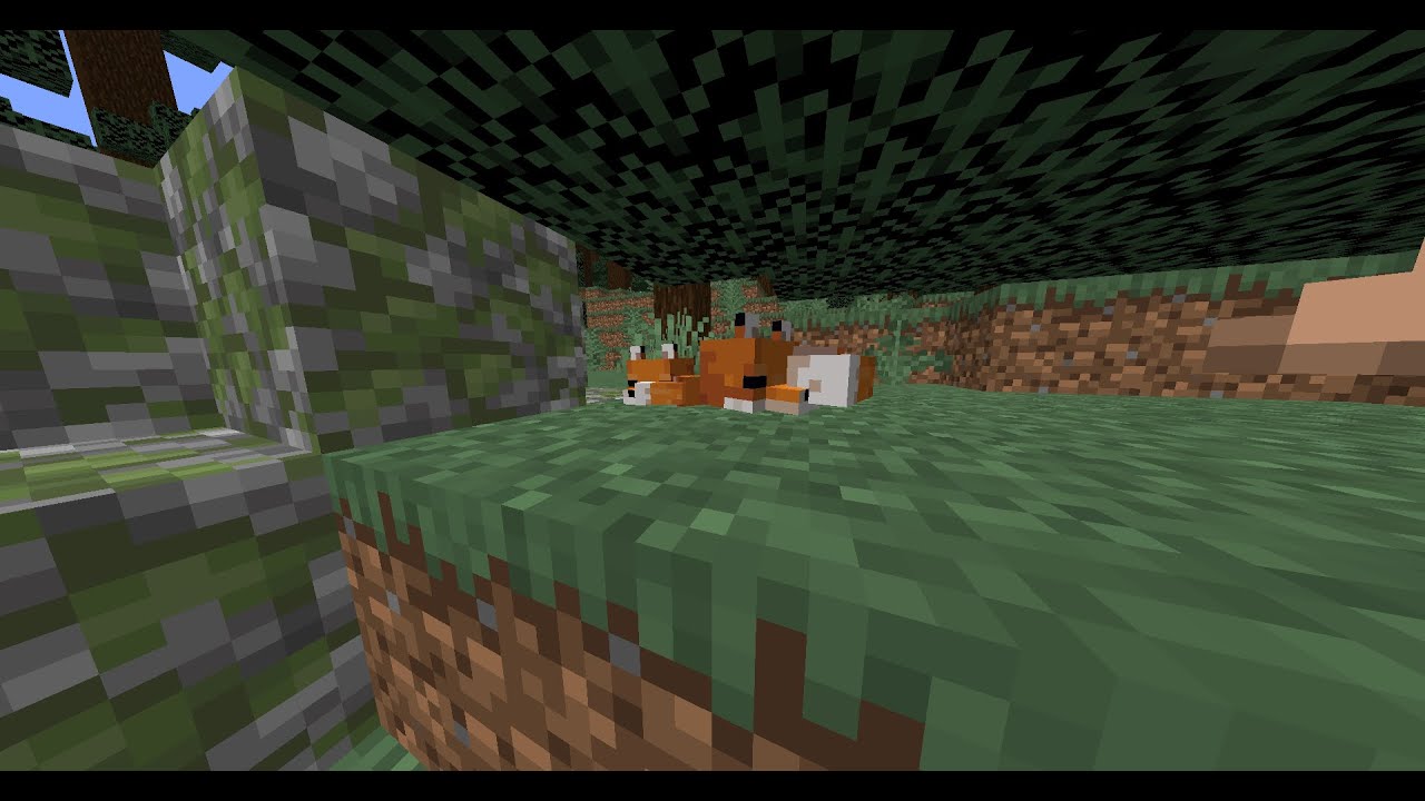 i love minecraft foxes - YouTube