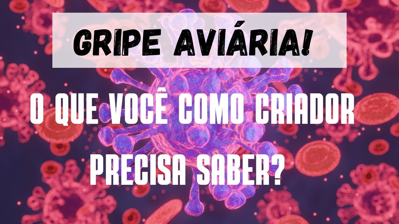 O que eu preciso saber sobre a gripe aviária? - YouTube