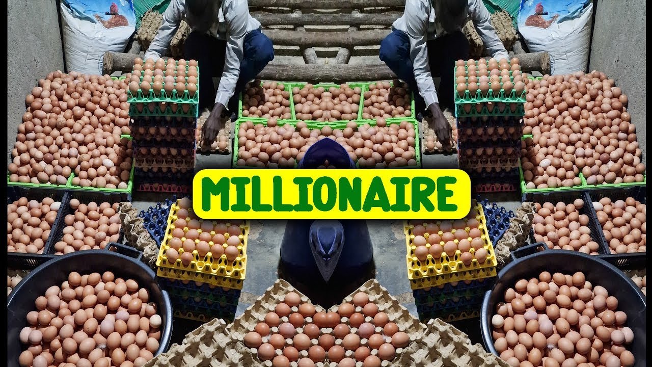 Farming Made Easy: Your Go-to Guide For Building A Thriving Farm - YouTube