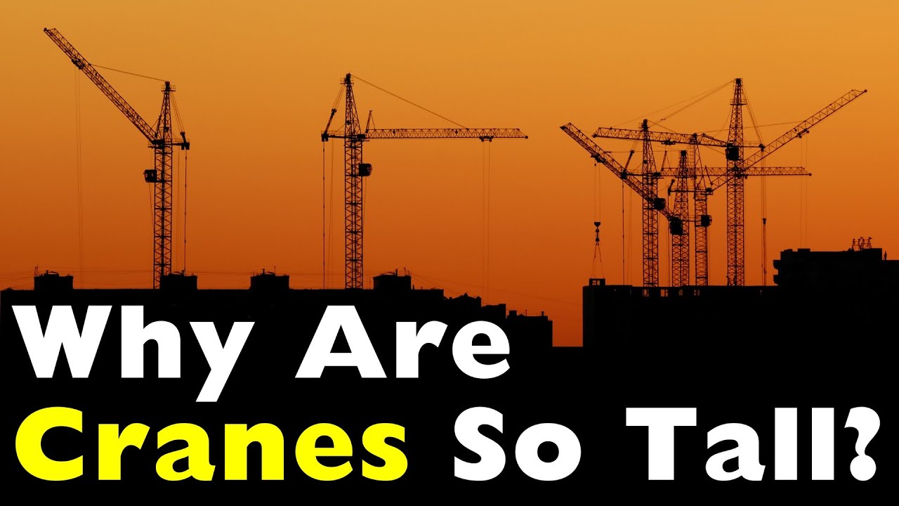 How Tower Cranes Build Themselves - YouTube