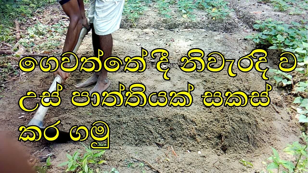 ගෙවතු වගාව , පාත්ති සැකසීම., mage govithana - YouTube
