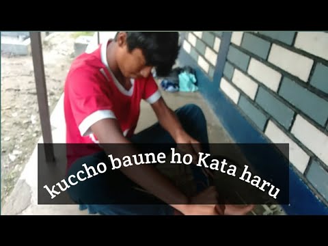 👌kuccho baune taraka harnu hai 💯 RASHIL PARIYAR VLOG 😎 - YouTube
