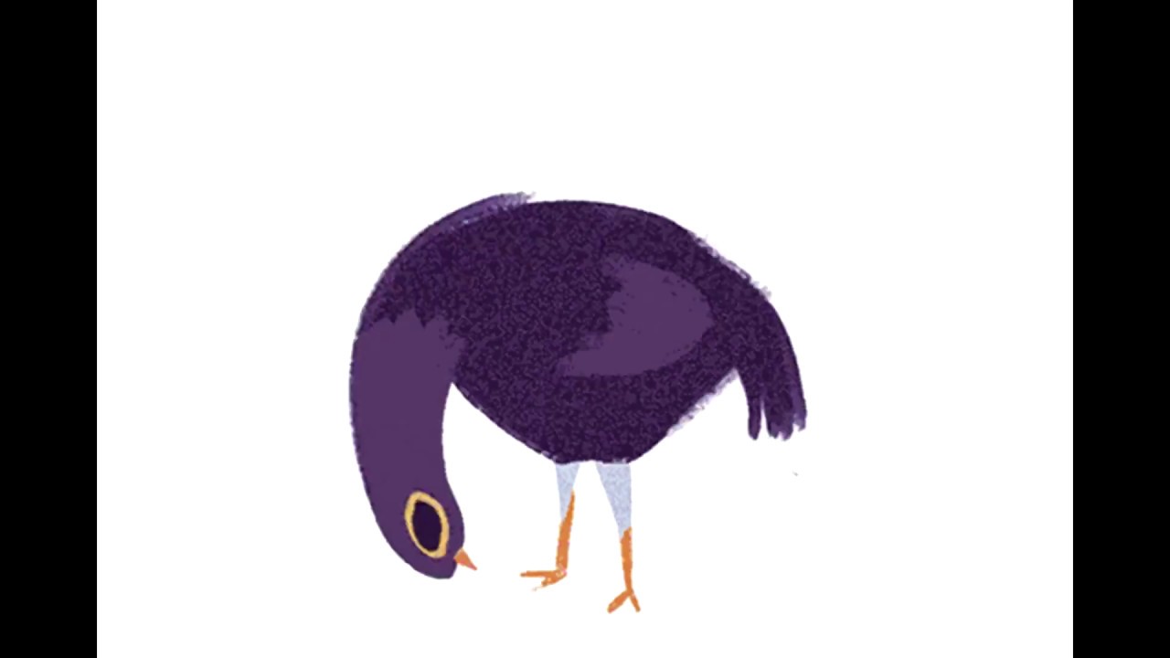 Facebook Pigeon / Trash Dove Trash / Paloma / Pichon - YouTube