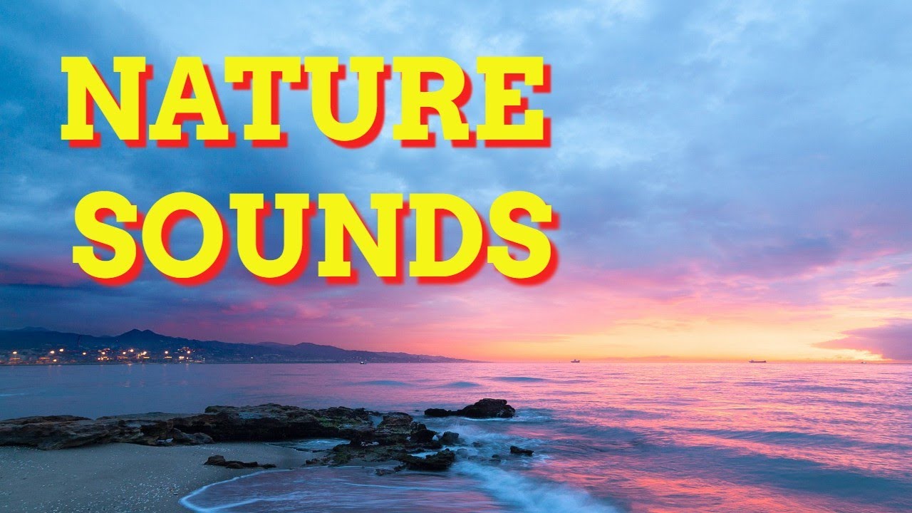 The Surprising Power of Nature Sounds: Boost Your Well-being - YouTube