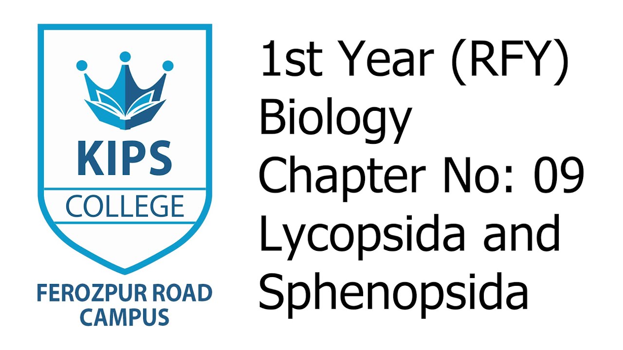 Lycopsida and Sphenosida | Biology | 1st Year... - YouTube