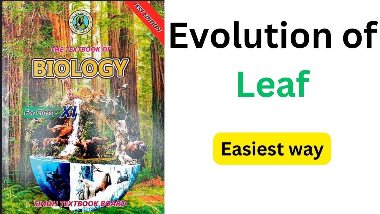 Evolution of leaf |chapter 8 Diversity among plants 11th class biology ...