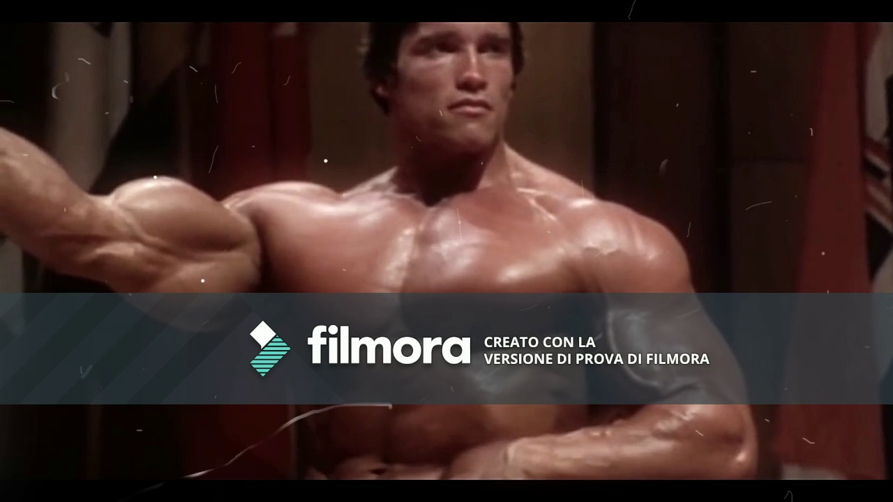 Motivation-GYM- Decide ser un Triunfador-Entrenamiento DE Arnold ...