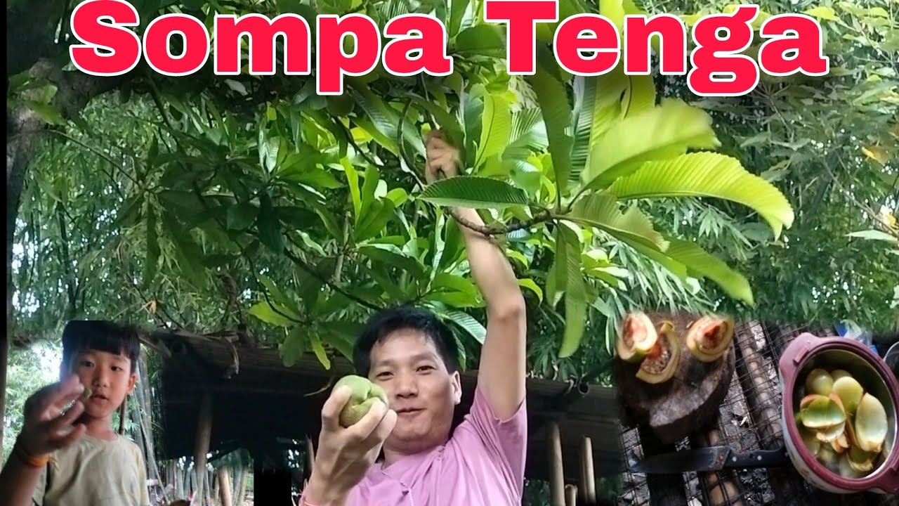 Sompa Tenga Ke Chatni Mini Vlog || Pasighat||Arunachal Pradesh||सोम्पा ...