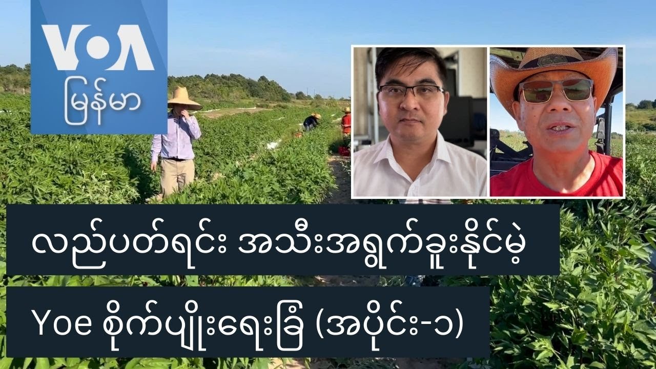 လည်ပတ်ရင်း အသီးအရွက်ခူးနိုင်မဲ့ Yoe စိုက်ပျိုးရေးခြံ အပိုင်း ၁ Youtube