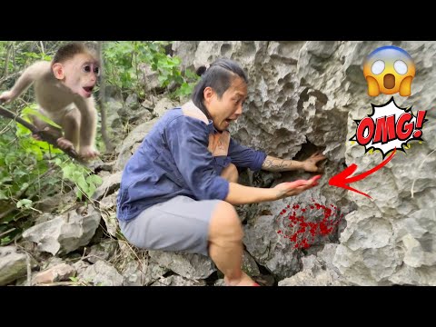Korkunç | Baba ve bebek Maymun Damar, kaya deliğinin altında gizemli kan lekesi keşfetti